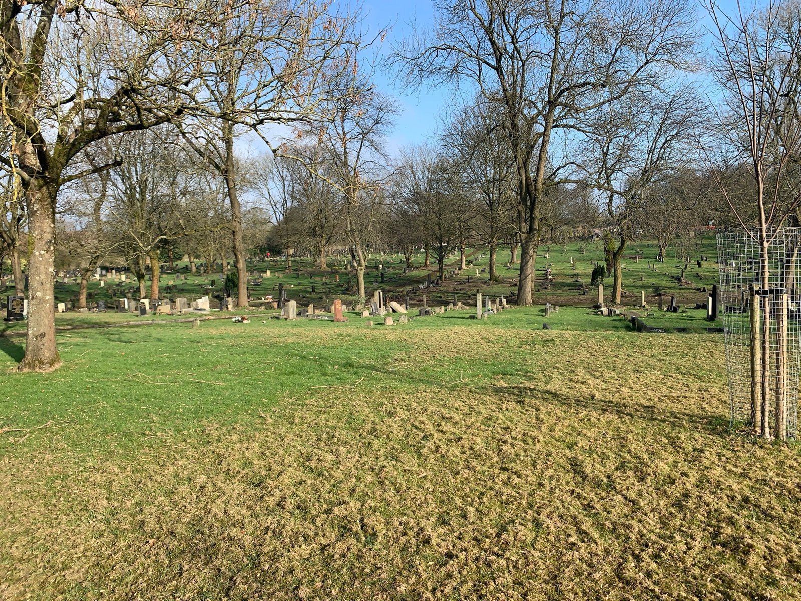 Antonie Sigmore 'Death of a Midget' - MancHistorian